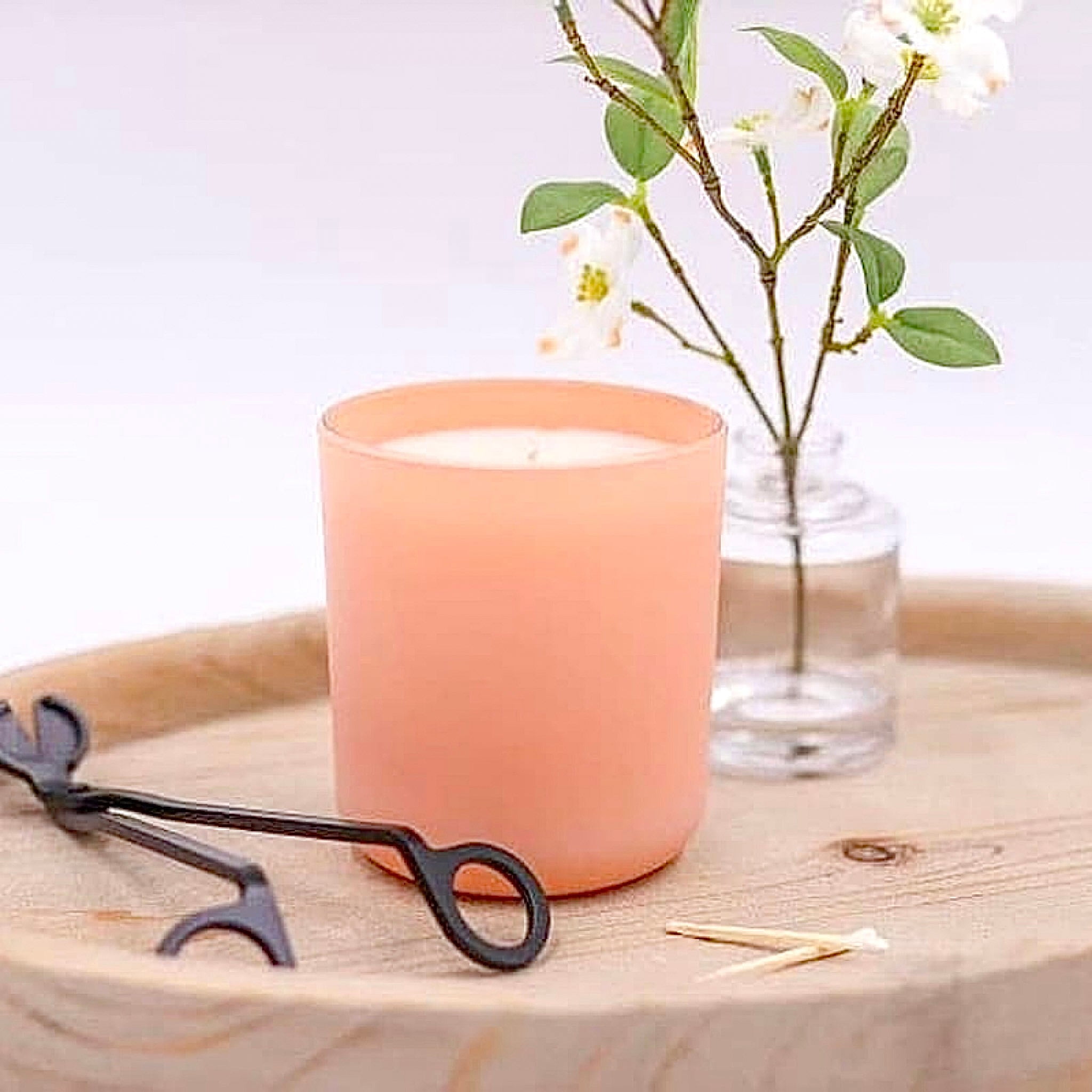 Fresh Peaches Scent Candle - Walmart.com