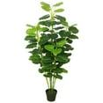 Fresh Philodendron Everyday Tree with Pot-Green - Walmart.com
