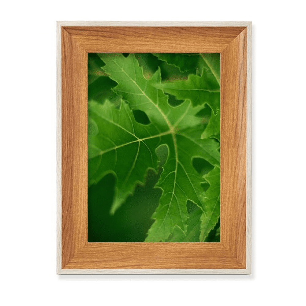 Fresh Picture Nature Desktop Wooden Photo Frame Display Picture Art ...
