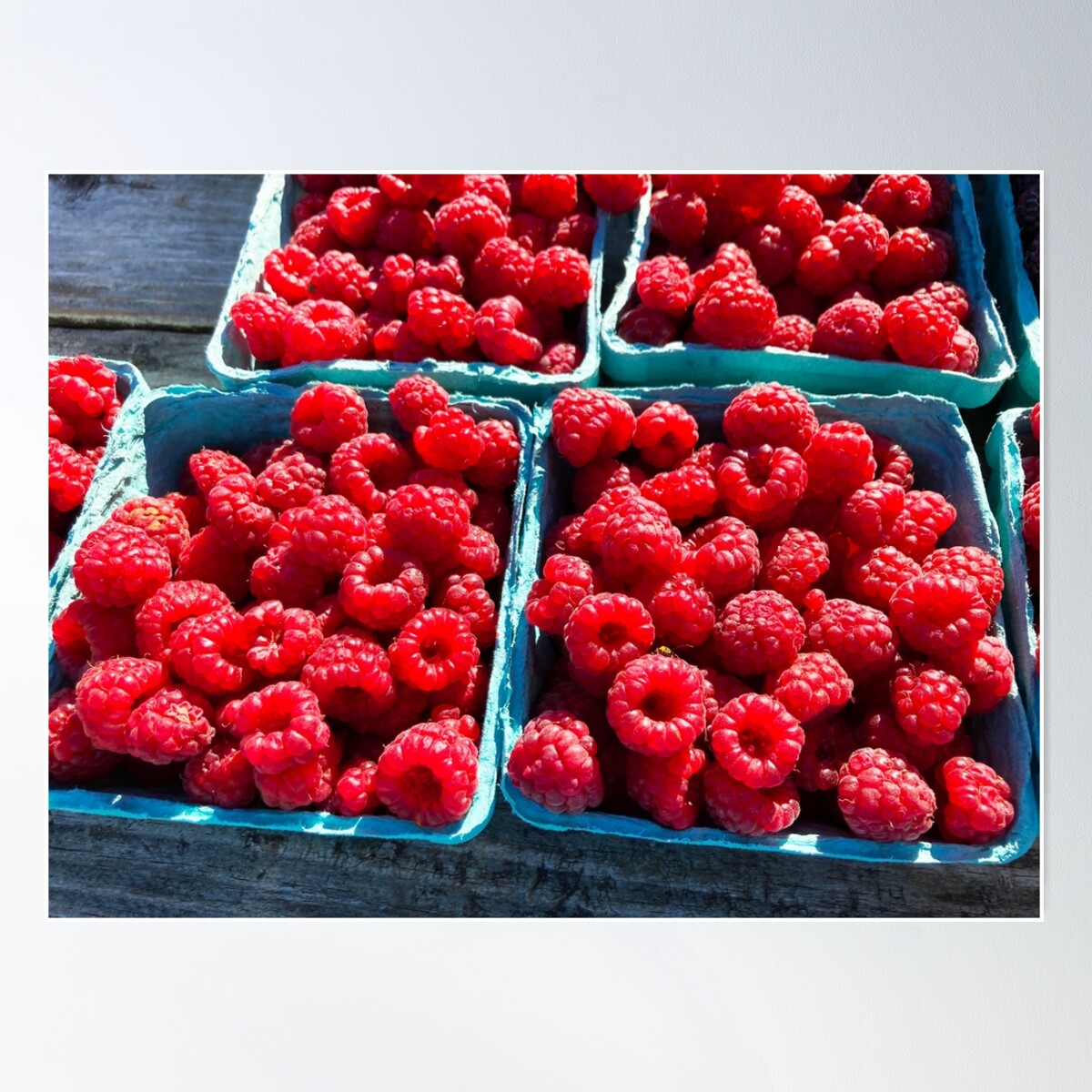 Fresh Raspberries Under Sunlight Poster Wall Art, Modern Wall Decor For ...