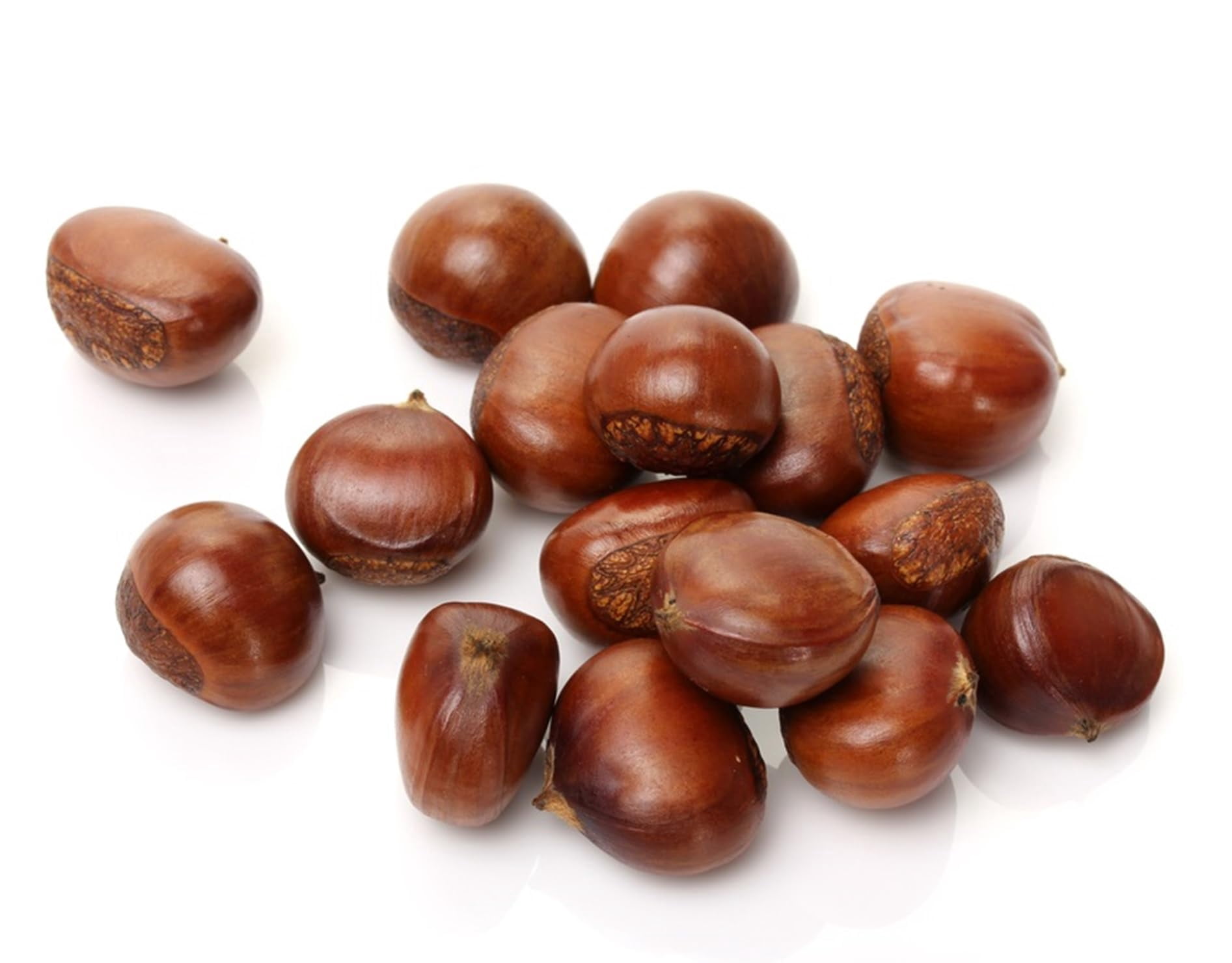 Fresh Raw Chestnuts (1 BCF26 Pound) - Premium Roasting Chestnuts for ...