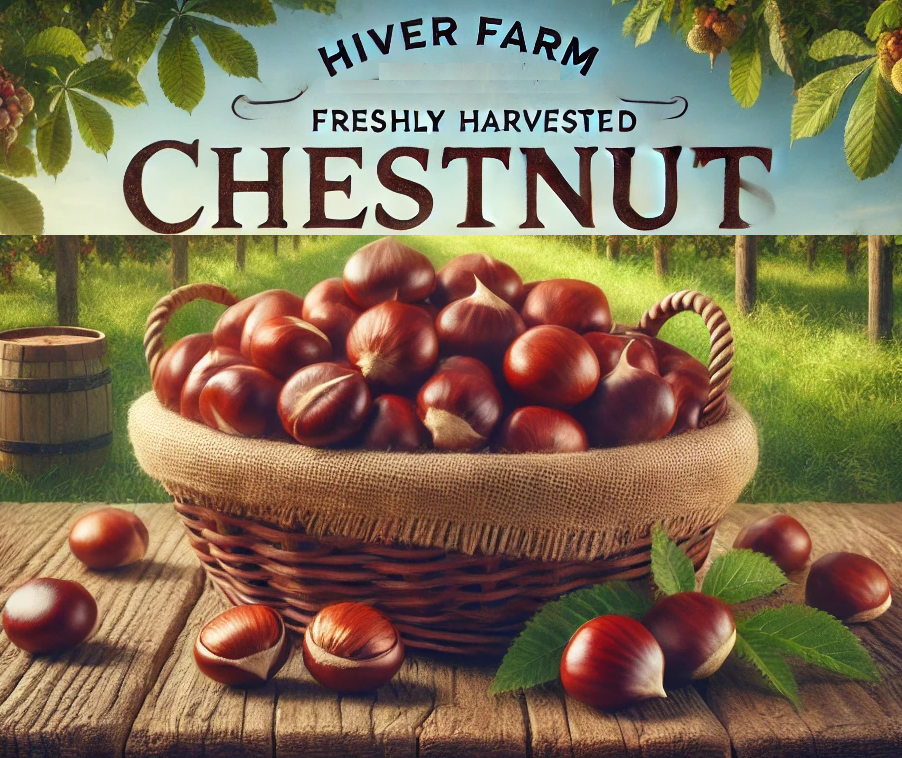 Small Fresh, Raw, Quality Ohio Chestnuts | Tender, Easy to Peel ...