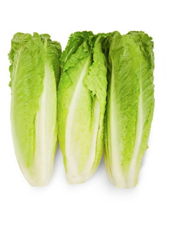 Romaine Lettuce in Lettuce - Walmart.com
