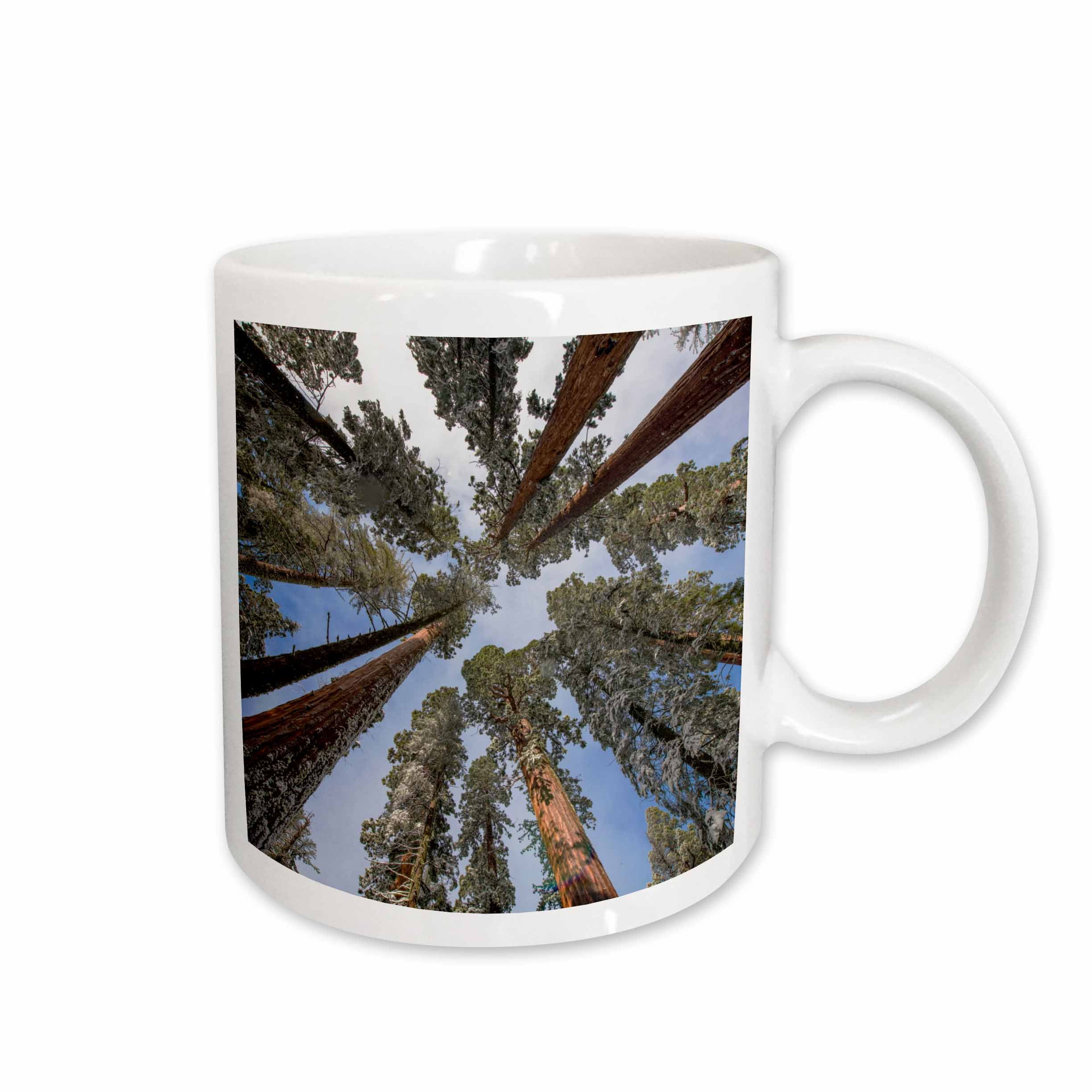 3drose, Fresh Snow Coating the Trunk of This Forest Giant., 15oz Mug ...