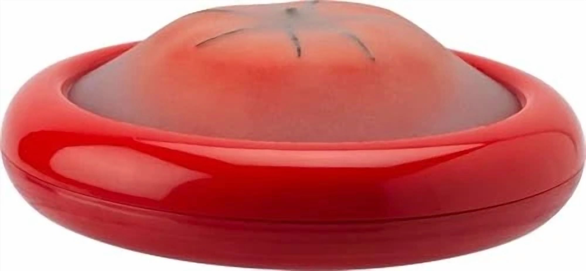 Fresh Stretch Tomato Storage Container For Cut Tomatoes Bpa Free Fridge ...