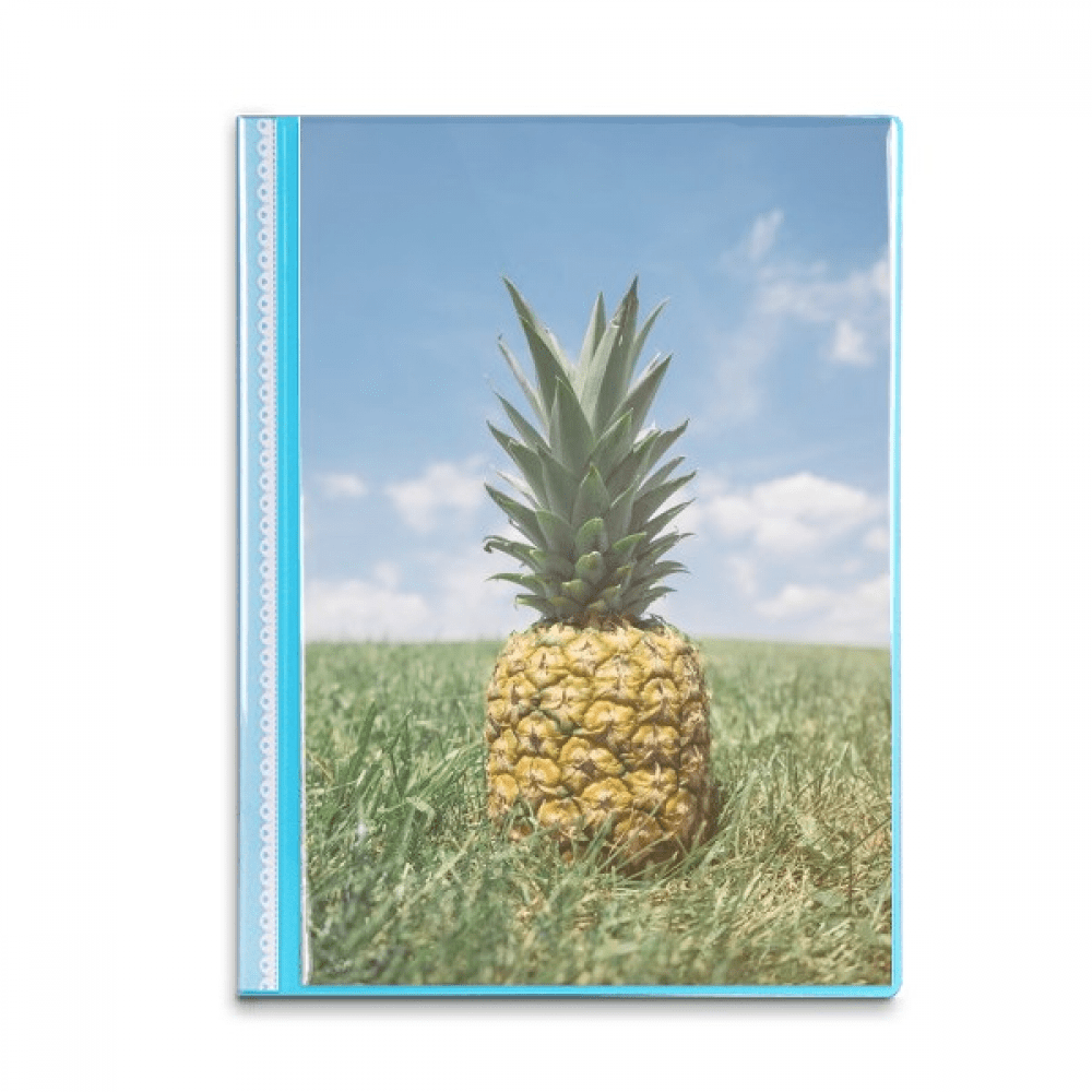 Fresh Tropical Fruit PineFruit Picture Book Sheet Protectors Portfolio ...