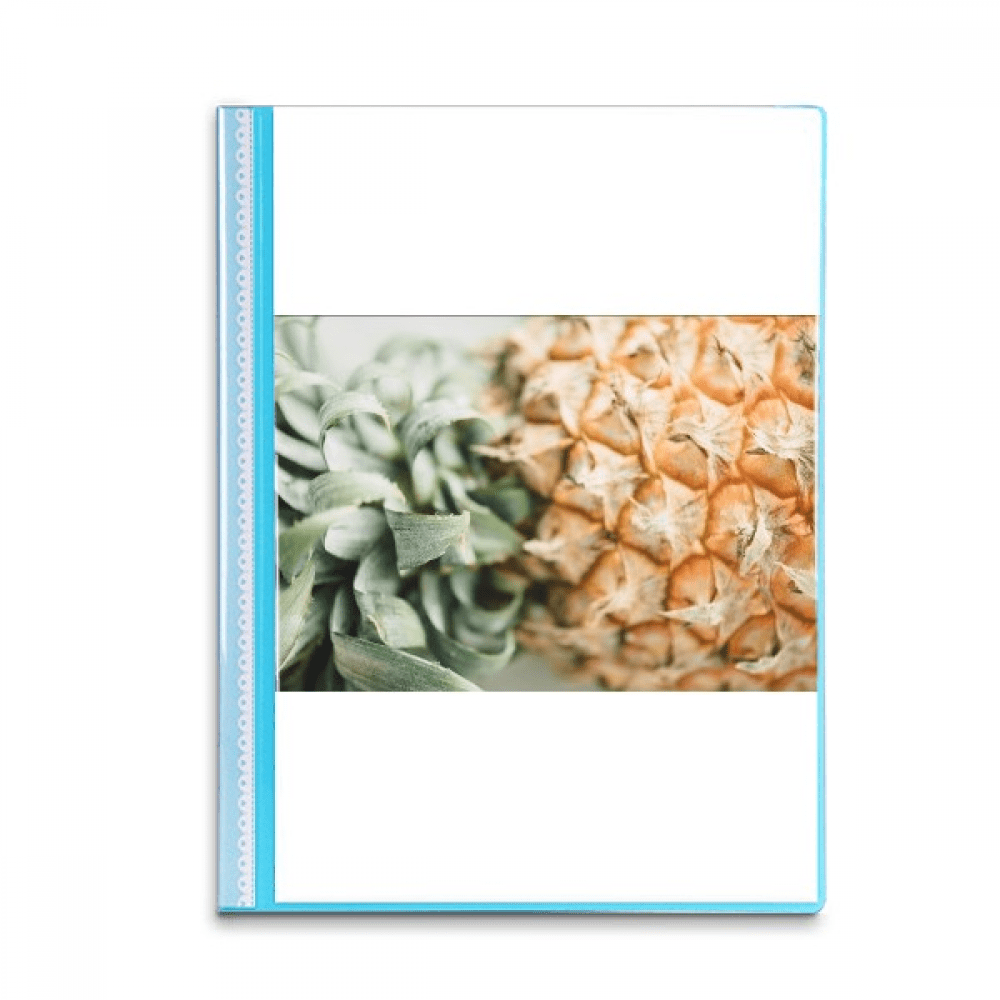 Fresh Tropical Fruit PineFruit Picture Book Sheet Protectors Portfolio ...