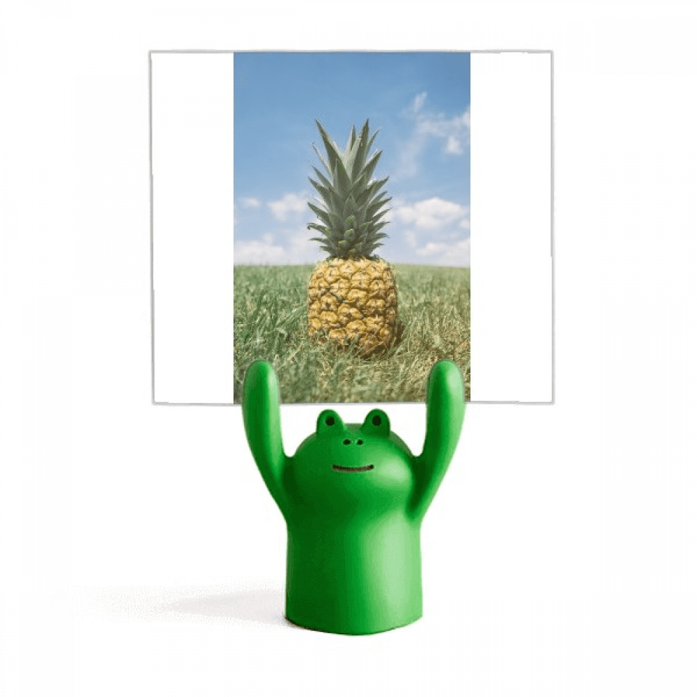 Fresh Tropical Fruit PineFruit Picture Memo Holder Cartoon Animal Frog ...