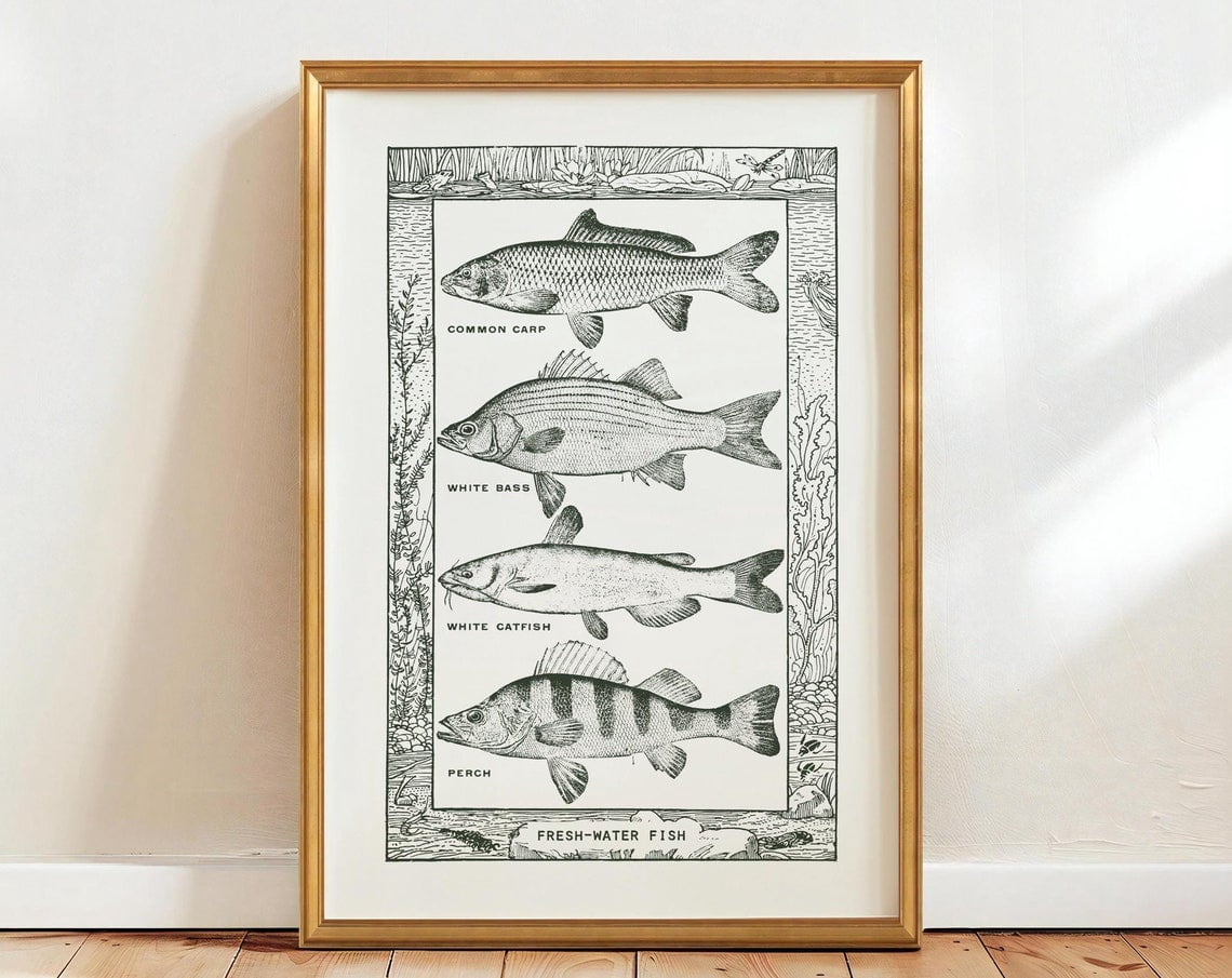 Fresh Water Fish Print Fishing Gift For Dad Vintage Fisherman Art ...