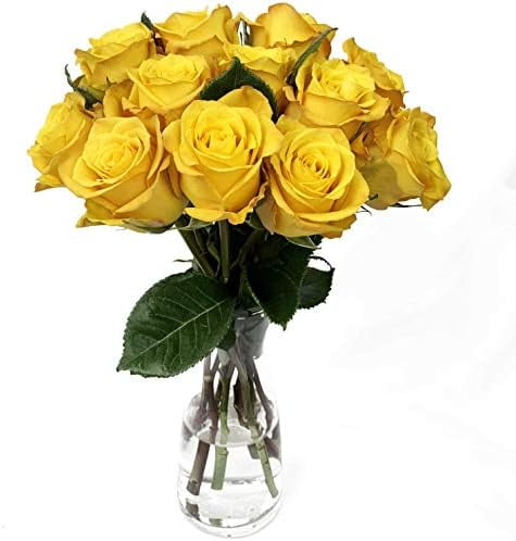 Fresh Yellow Roses | Yellow Flower Bouquet of 24 Fresh Roses (2 Dozen ...