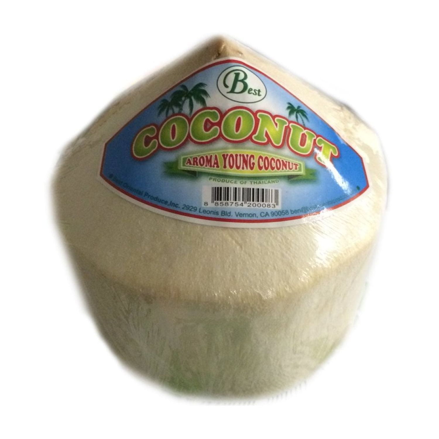 Fresh Young Coconut (Aroma Young Coconut) - Pack of 6 - Walmart.com