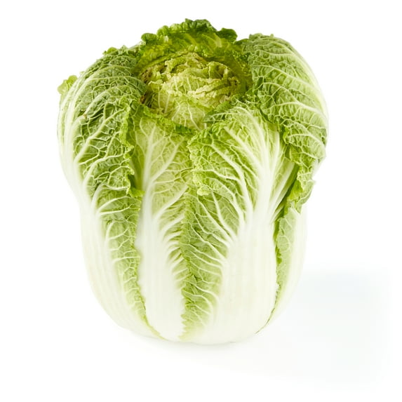 Fresh Produce Fresh and Vibrant Whole Napa Cabbage for Cooking or Raw ...