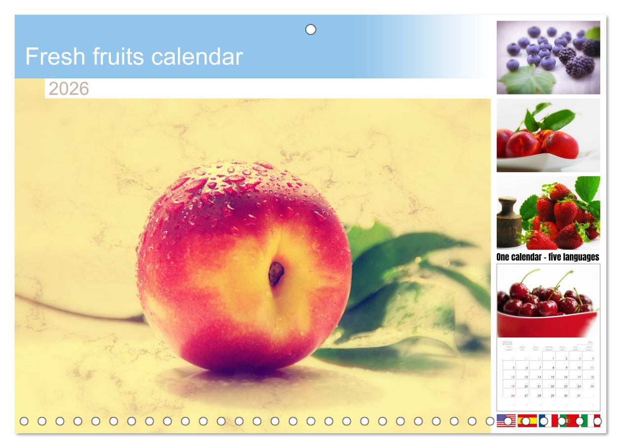 Fresh fruits calendar (Monthly Wall Calendar 2026 16.5 x 23.4 (open ...