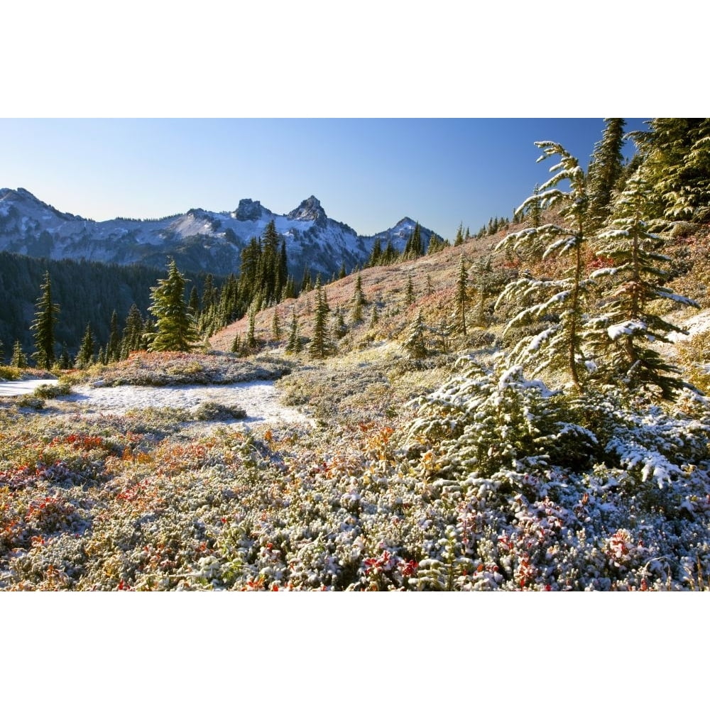 Fresh snow on autumn colours add beauty to Tatoosh Mountains in ...