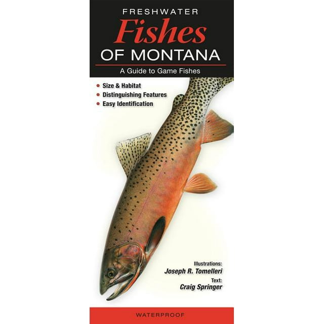Freshwater Fishes of Montana: A Guide to Game Fishes (Other) - Walmart.com