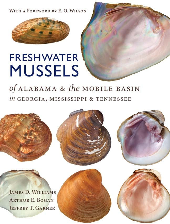 Pre-Owned Freshwater Mussels of Alabama and the Mobile Basin in Georgia ...