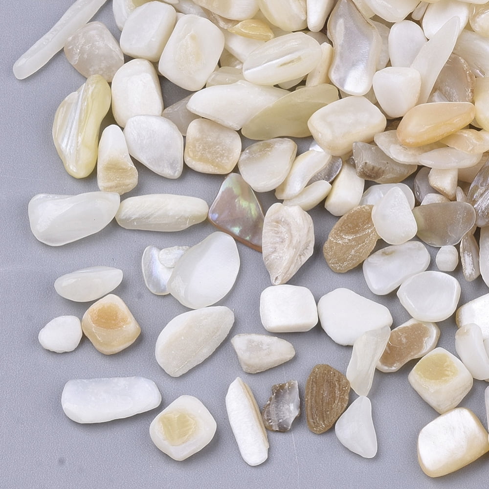 Freshwater Shell Beads Undrilled/No Hole Beads Chip Seashell color 1 ...