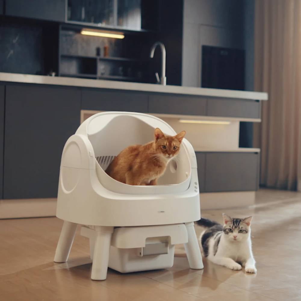 Fresh Whisker Open Top Self-Cleaning Automatic Cat Litter Box with Easy ...