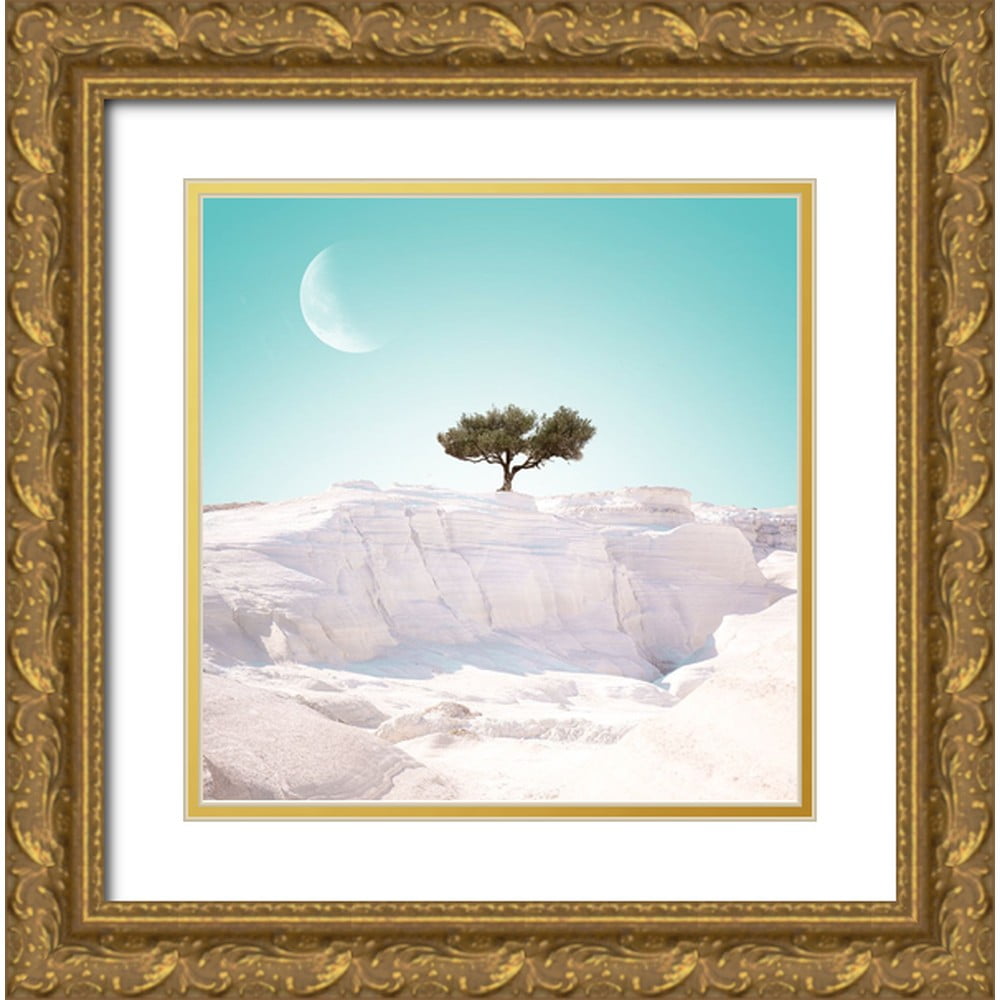 Frey, Eva 20x20 Gold Ornate Wood Framed with Double Matting Museum Art ...