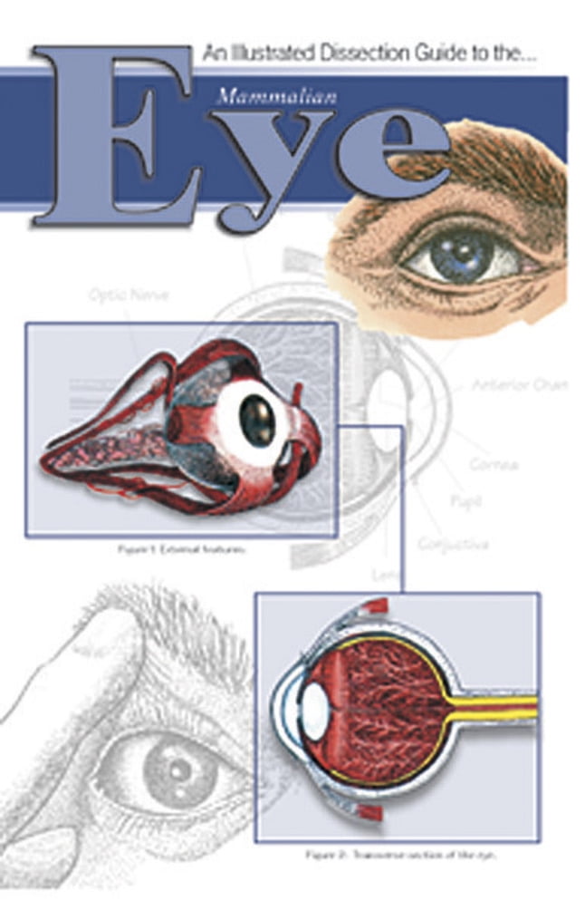 Frey Scientific Mini-Guide to Mammalian Eye Dissection - Walmart.com