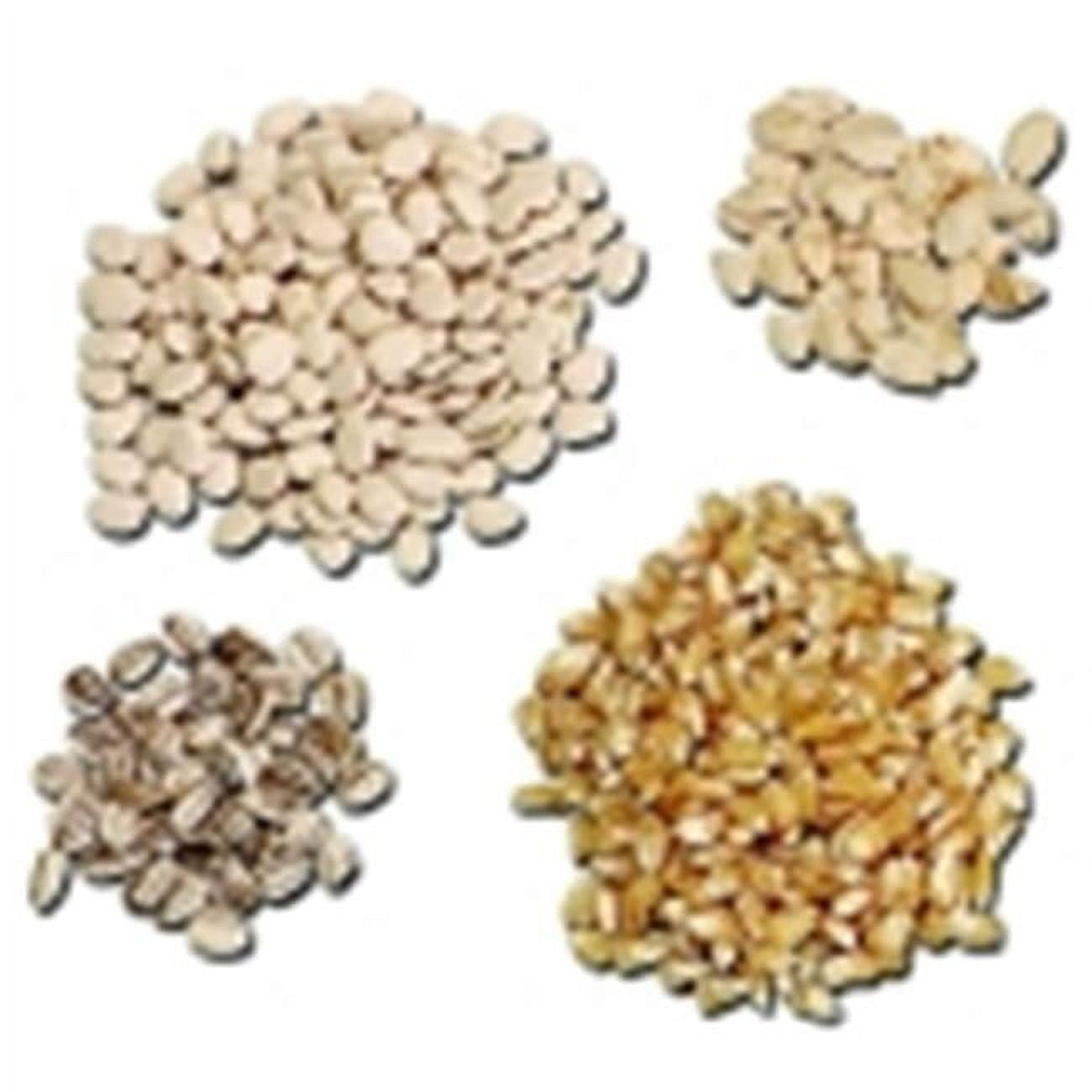 Frey Scientific Mixed Coleus Seeds, Pack - 300 - Walmart.com