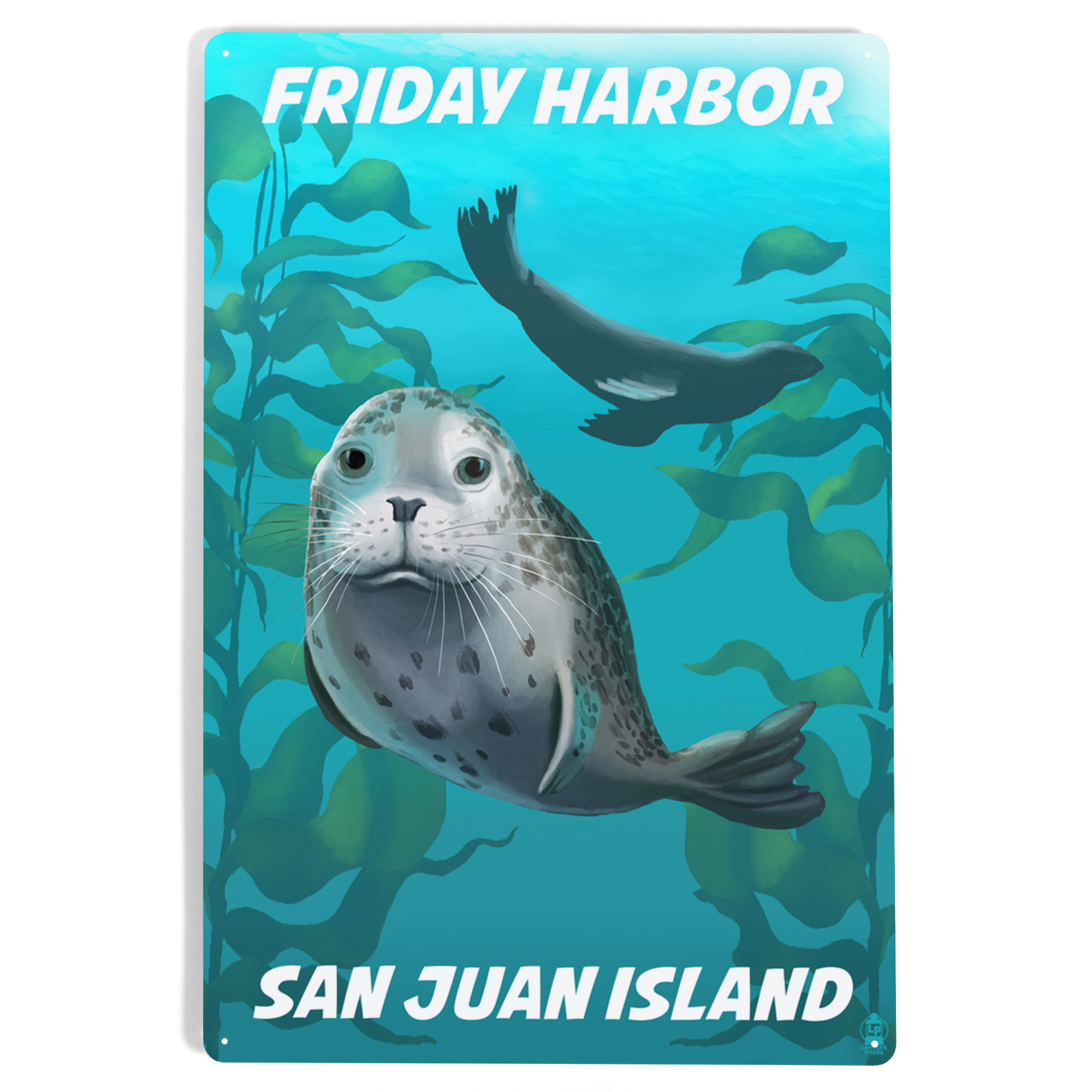 Friday Harbor, San Juan Island, Washington, Harbor Seals (12x18 ...