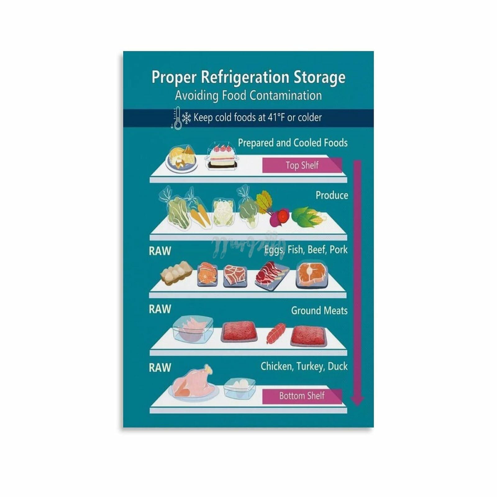 Fridge Layout Food Refrigerator Storage Chart Poster Kitchen ...