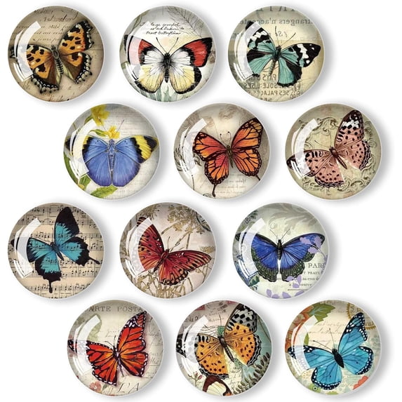 Fridge Magnets for Adults 12 Pcs Decorative Glass Refrigerator Magnets ...