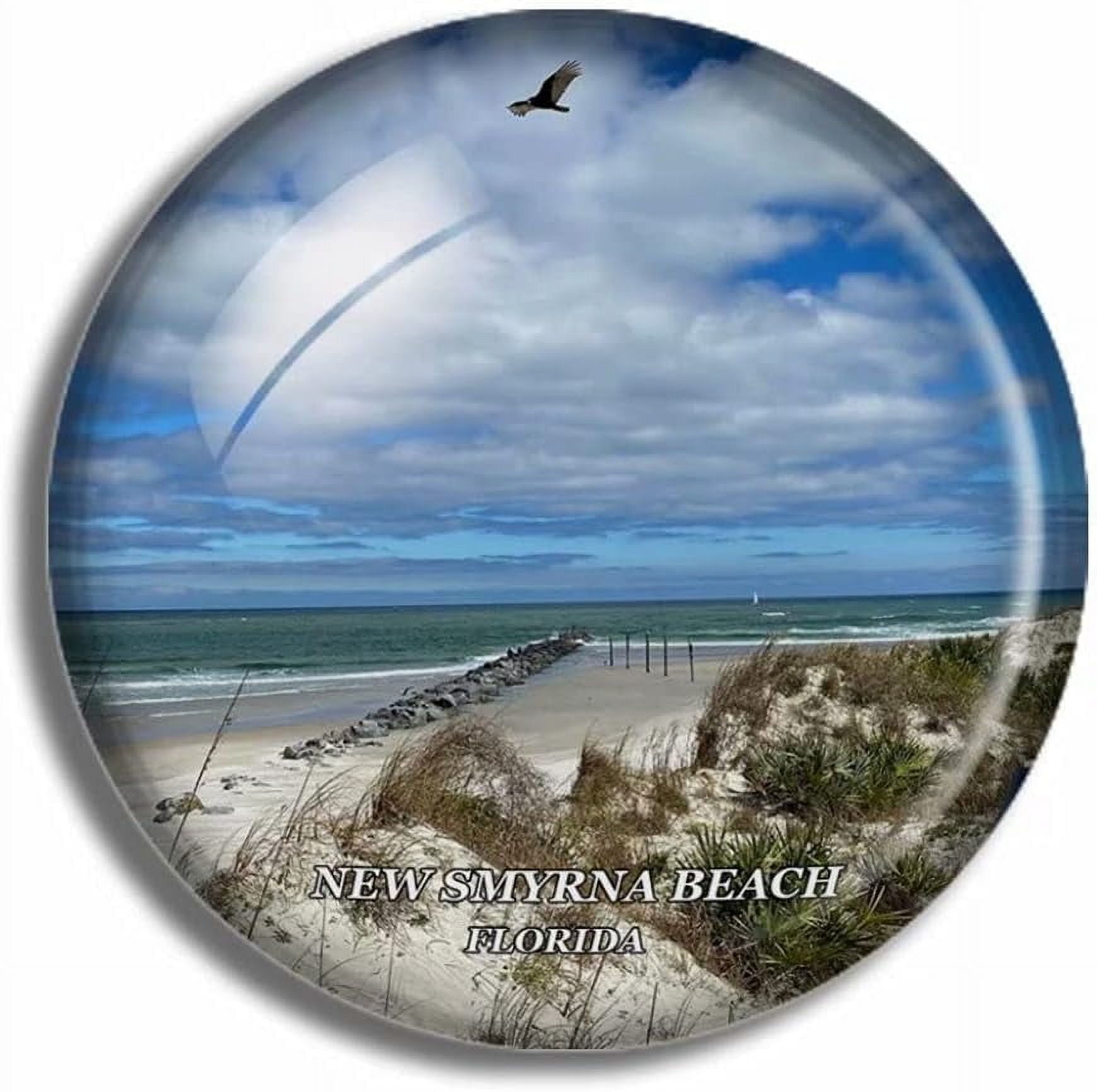 Fridge Magnets New Smyrna Beach Florida USA Travel Souvenir Funny ...