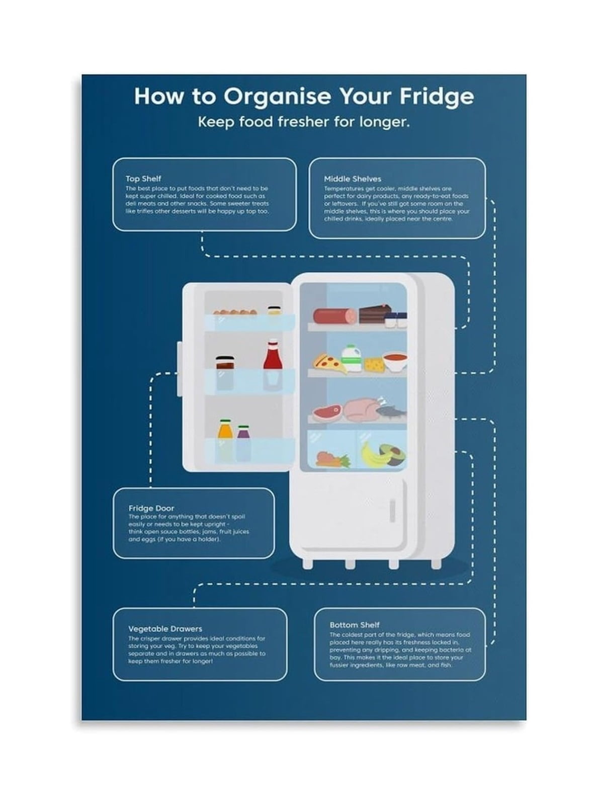 Fridge Organization Chart Poster Kitchen Food Storage Guide with Visual ...