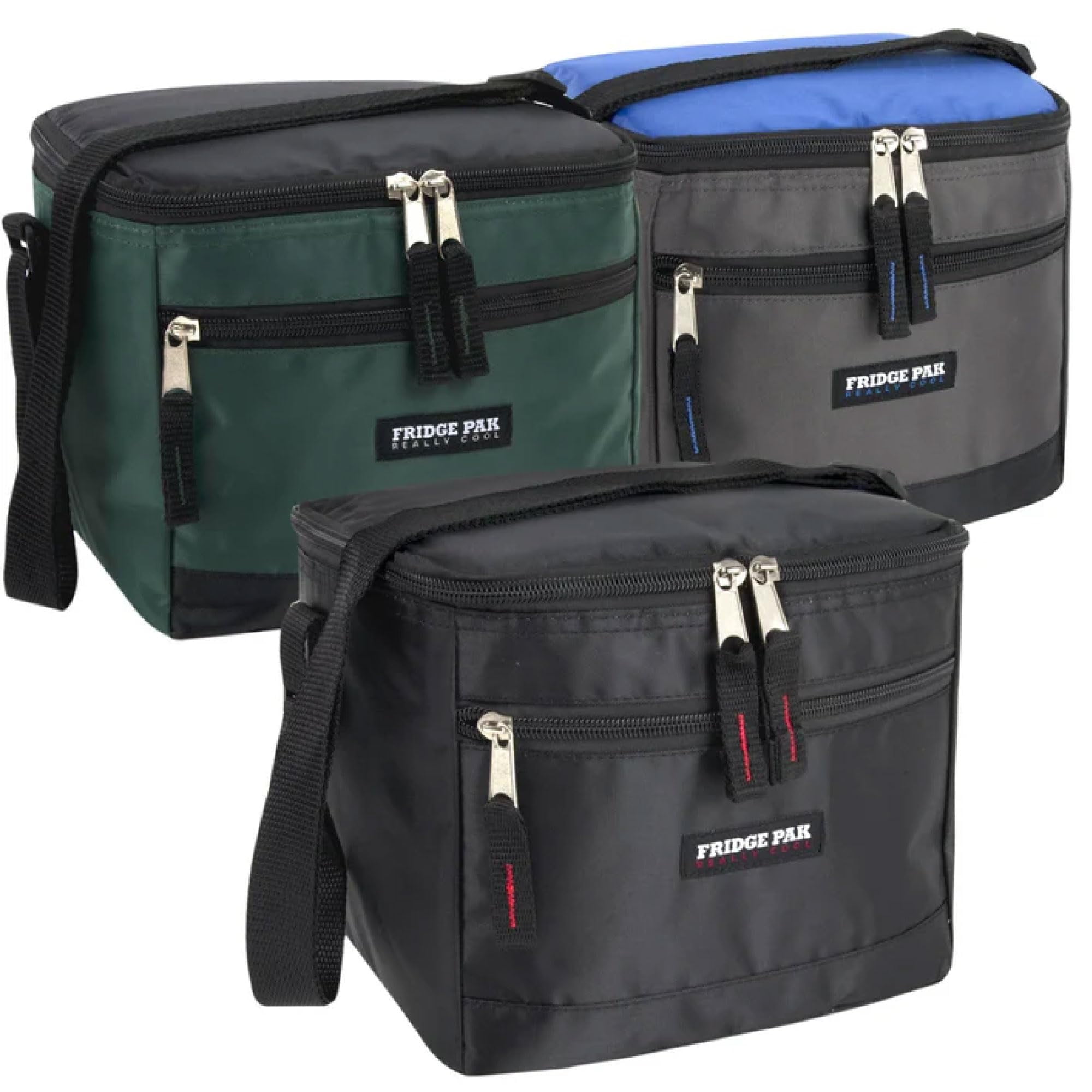Fridge Pak 24 Pack of Insulated 5.5 Liter 6 Can Capacity Non-Toxic ...