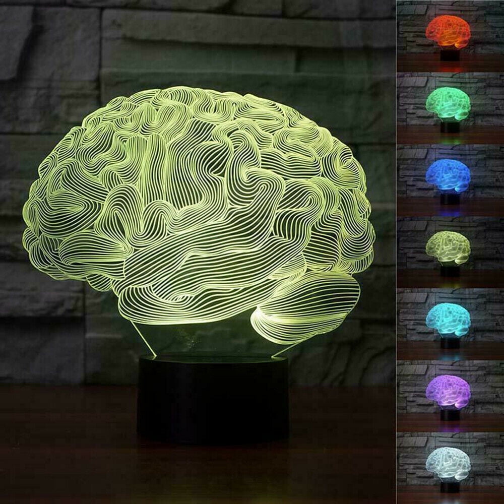 Fridja 3D Human Brain -Cerebellum Model Table Lamp 7 Color Changing LED ...