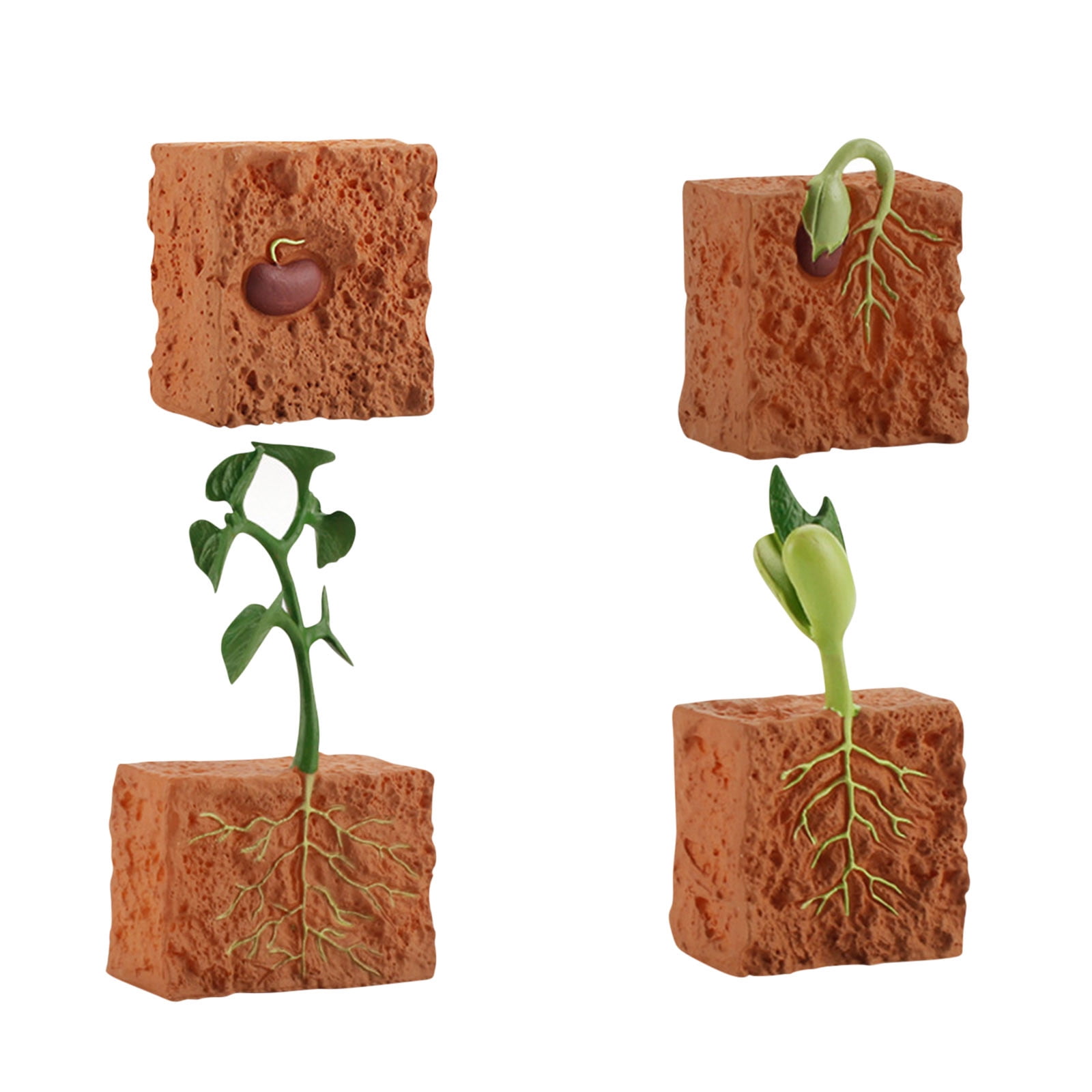 Fridja 4 Piece Seed Figure Plant Life Cycle Plastic Brood To Period ...