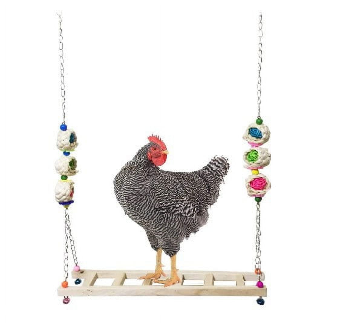 Fridja Chicken Ladder Wood Stand Chicken Toy Swing Toys for Chicks ...