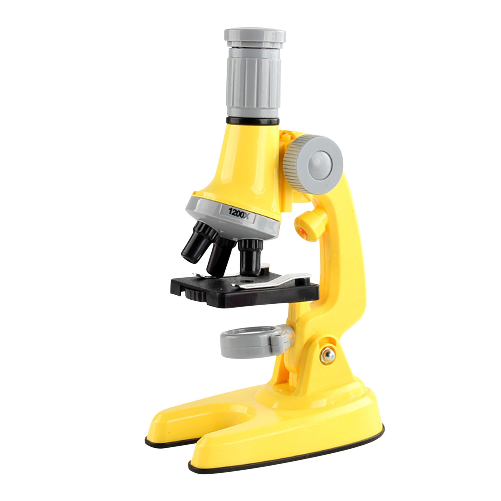 Fridja Early Childhood Education Biological Science HD 100X 600X 1200X ...