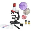 Fridja Portable Pocket Handheld Microscope Toys, Interactive Learning ...