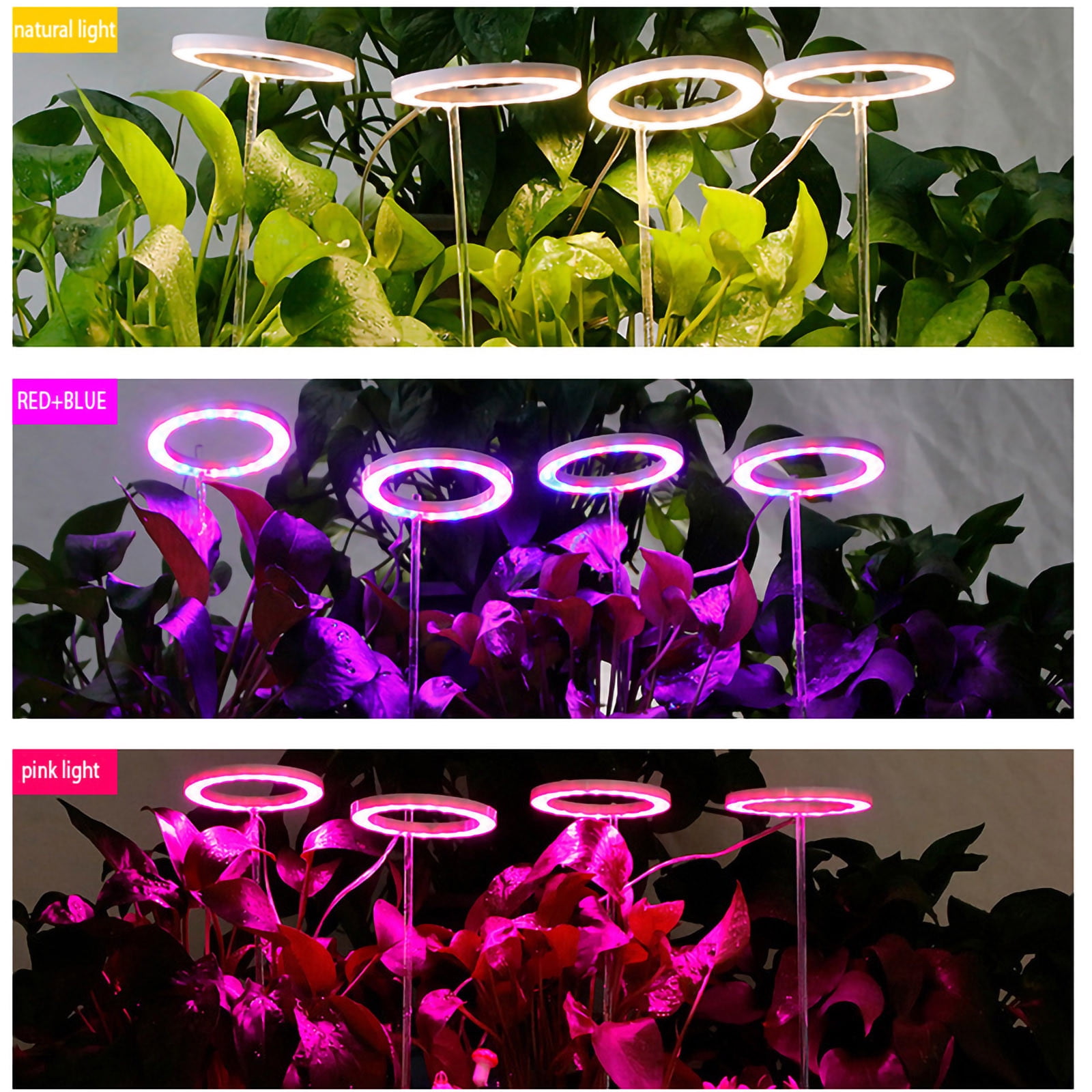 Fridja USB Angel Ring Plant Growth Light Indoor Full Succulent Light ...