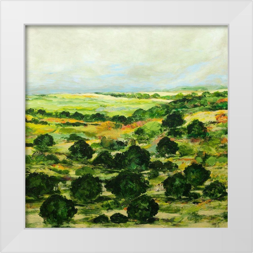 Friedlander, Allan 15x15 White Modern Wood Framed Museum Art Print ...