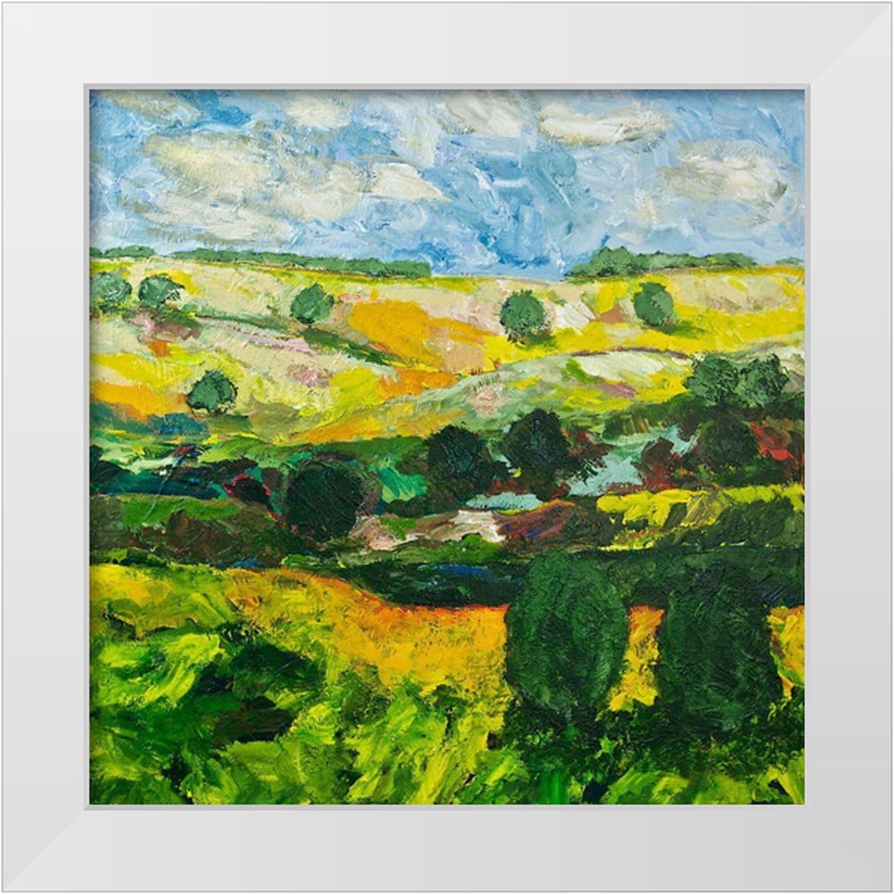 Friedlander, Allan 26x26 White Modern Wood Framed Museum Art Print ...