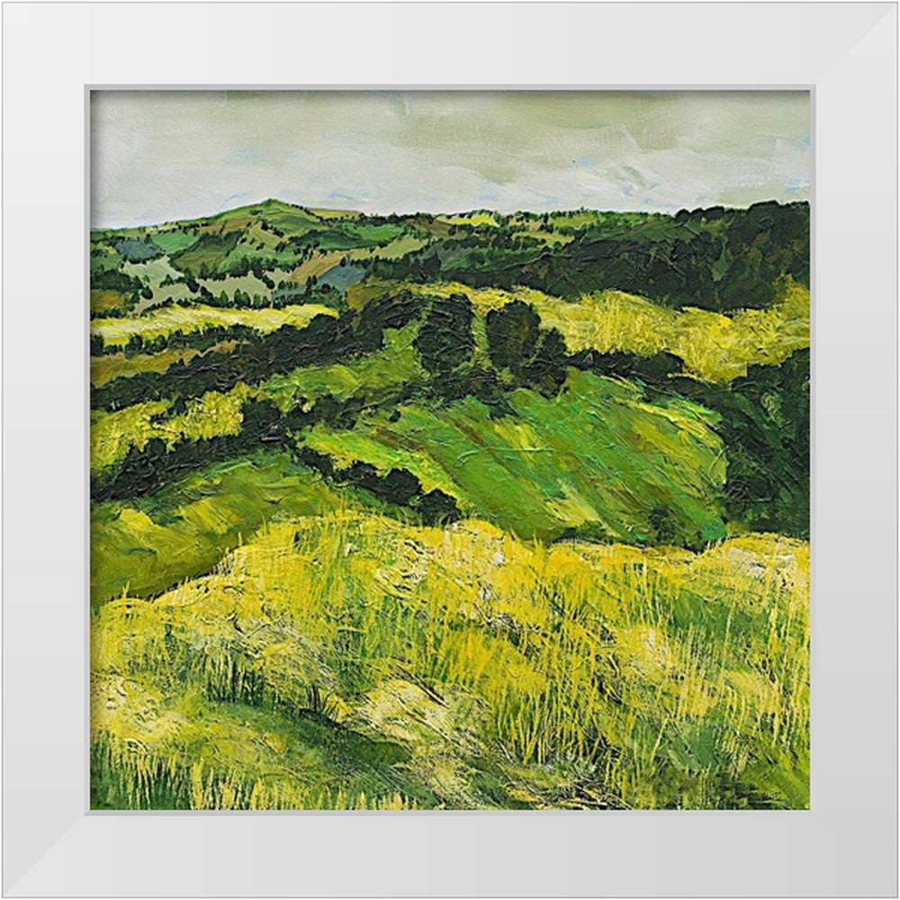 Friedlander, Allan 26x26 White Modern Wood Framed Museum Art Print ...