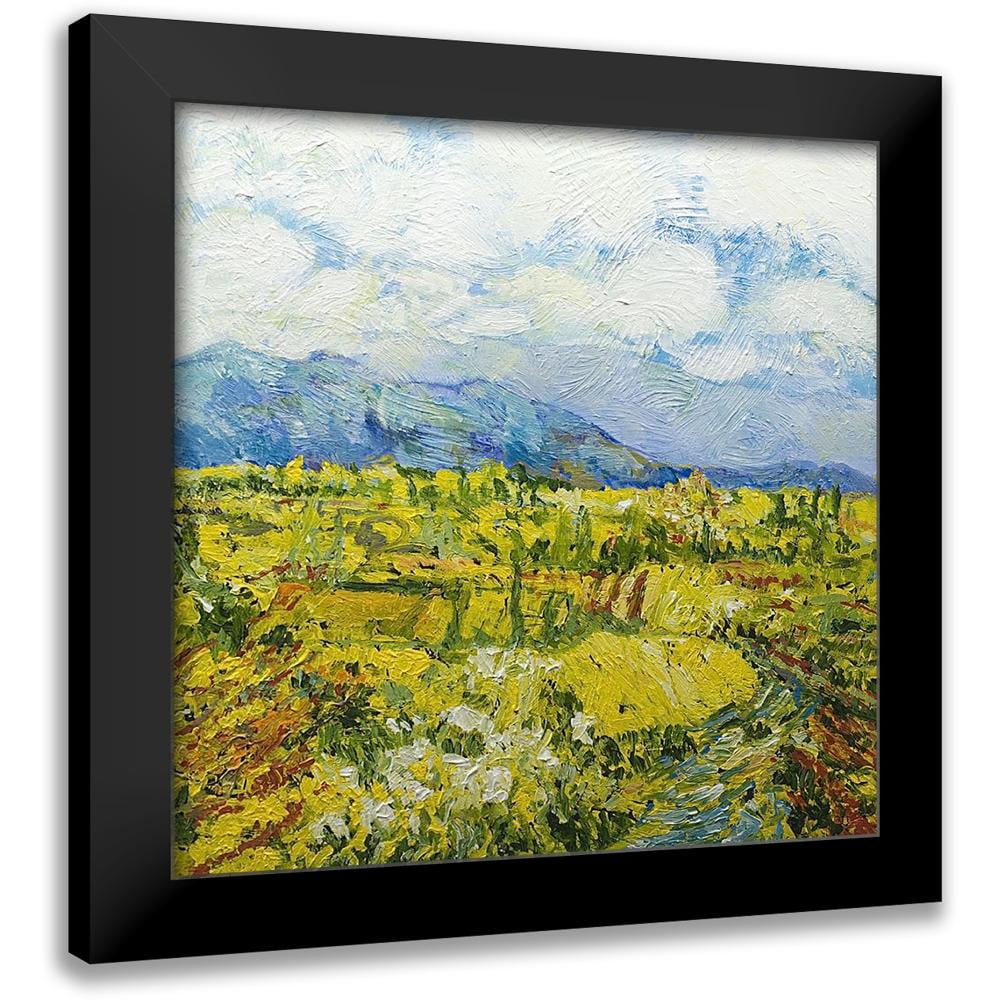 Friedlander, Allen 20x20 Black Modern Framed Museum Art Print Titled ...