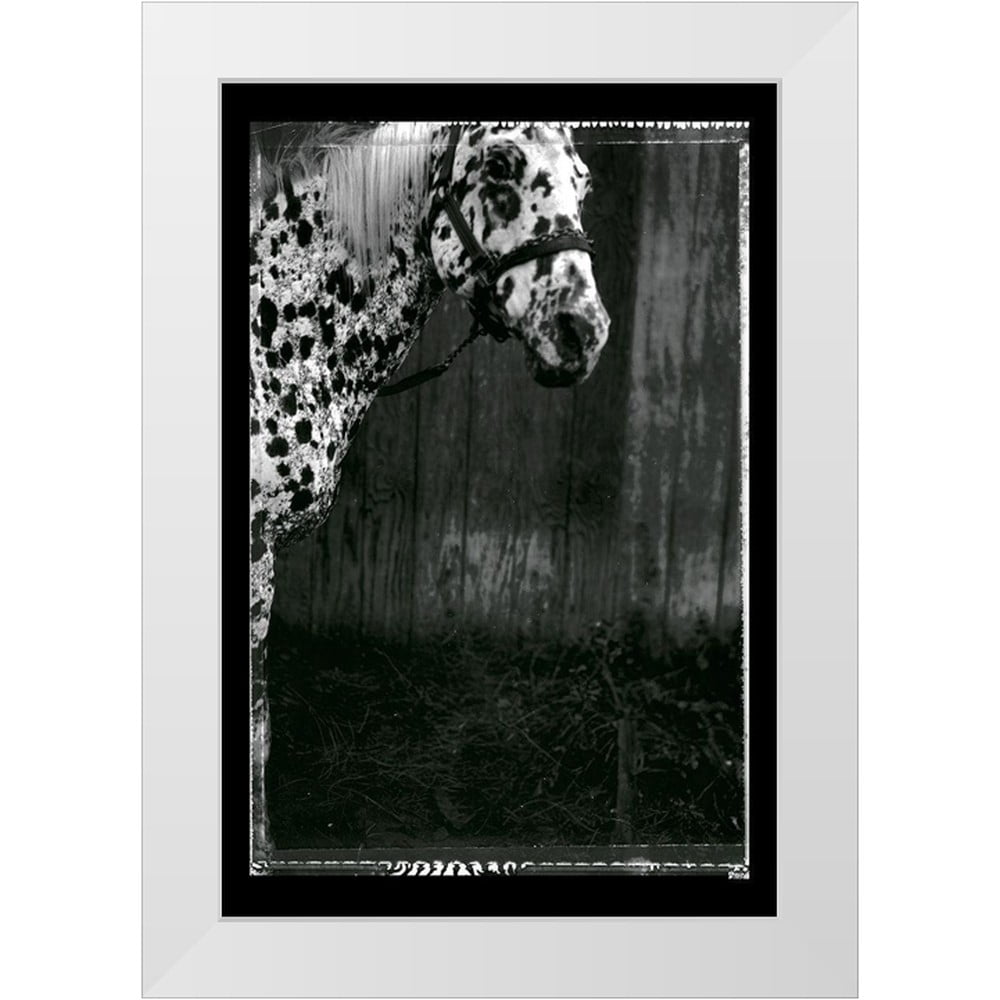 Friedman, Susan 17x24 White Modern Wood Framed Museum Art Print Titled ...