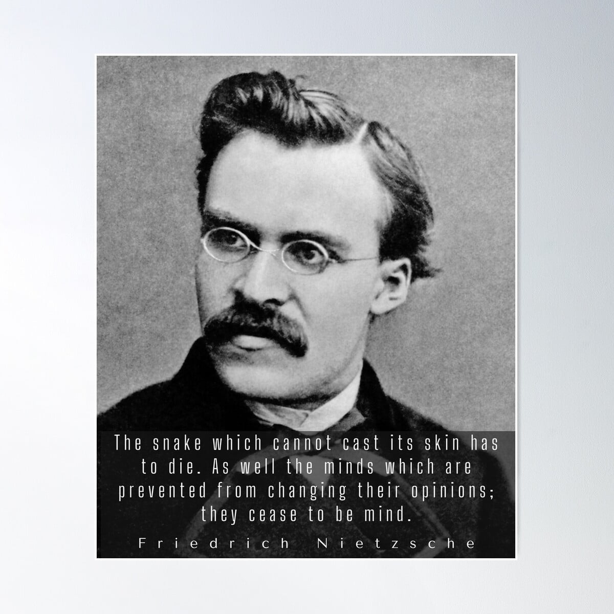 Friedrich Nietzsche Portrait And Quote: The Snake Which Cannot Cast Its ...
