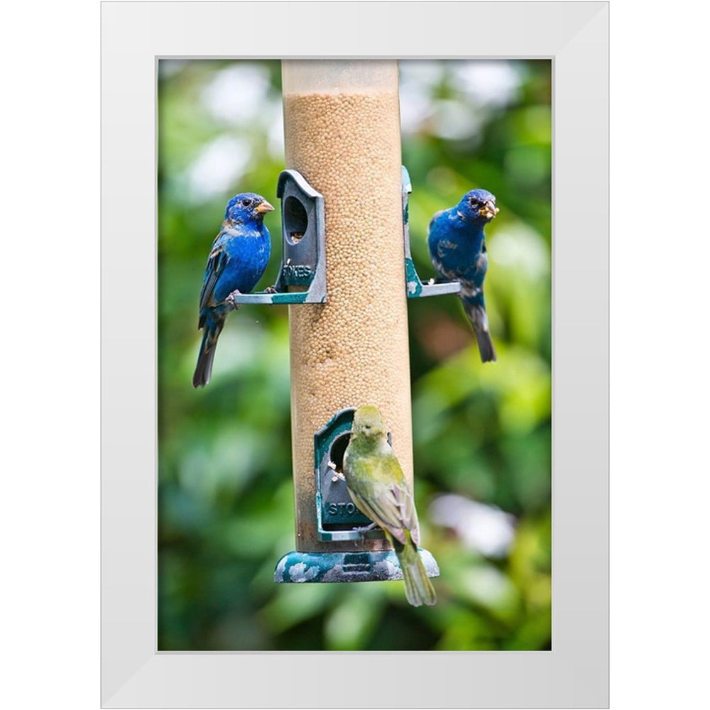 Friel, Bernard 11x14 White Modern Wood Framed Museum Art Print Titled ...