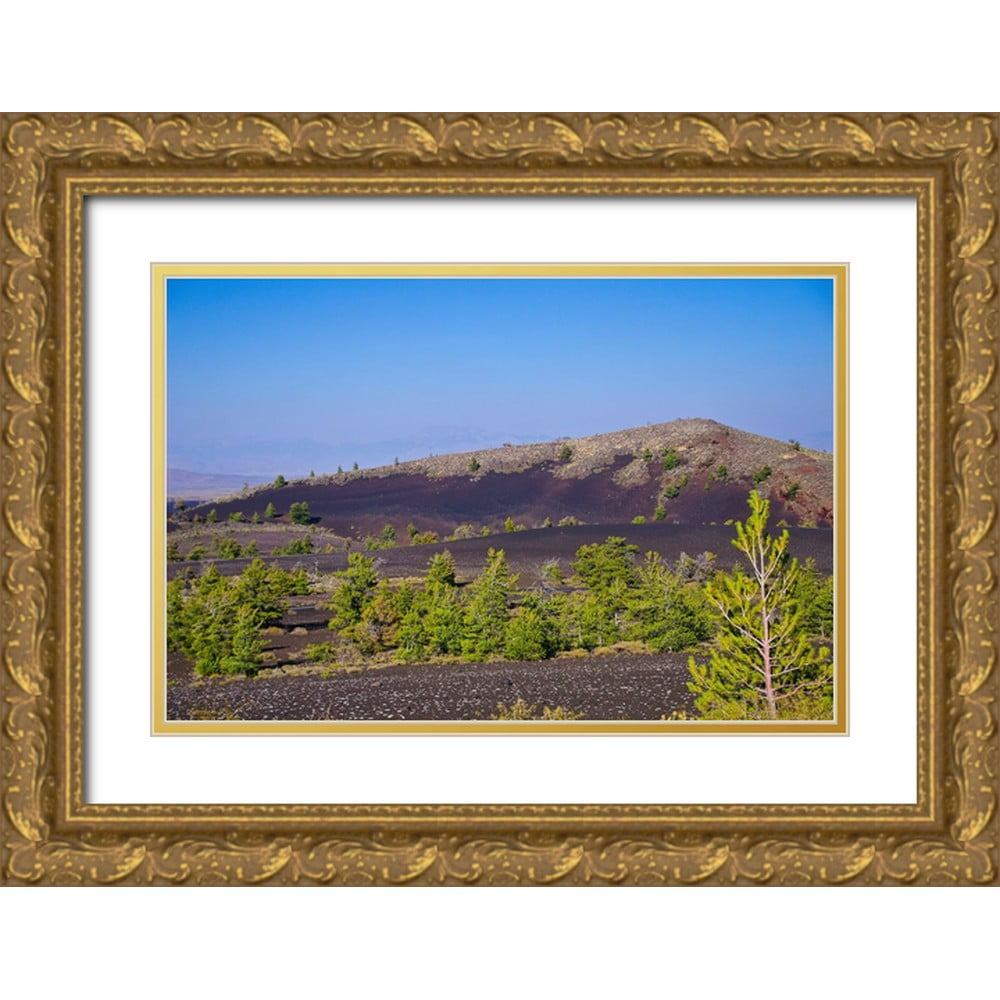 Friel, Bernard 14x11 Gold Ornate Wood Framed with Double Matting Museum ...