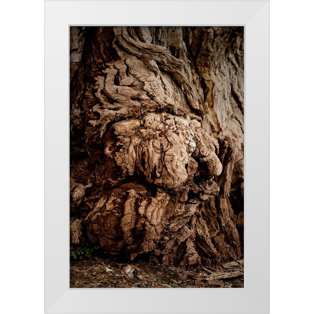 Friel, Bernard 17x24 White Modern Wood Framed Museum Art Print Titled ...