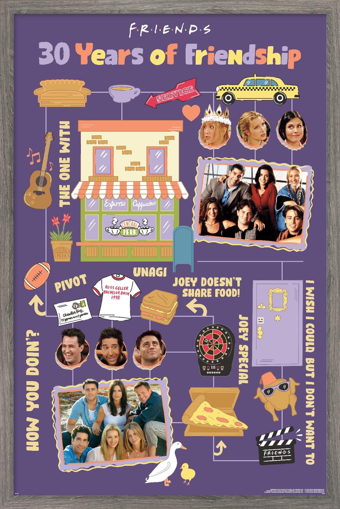 Friends 30th - 30 Years of Friendship Wall Poster, 14.725" x 22.375 ...