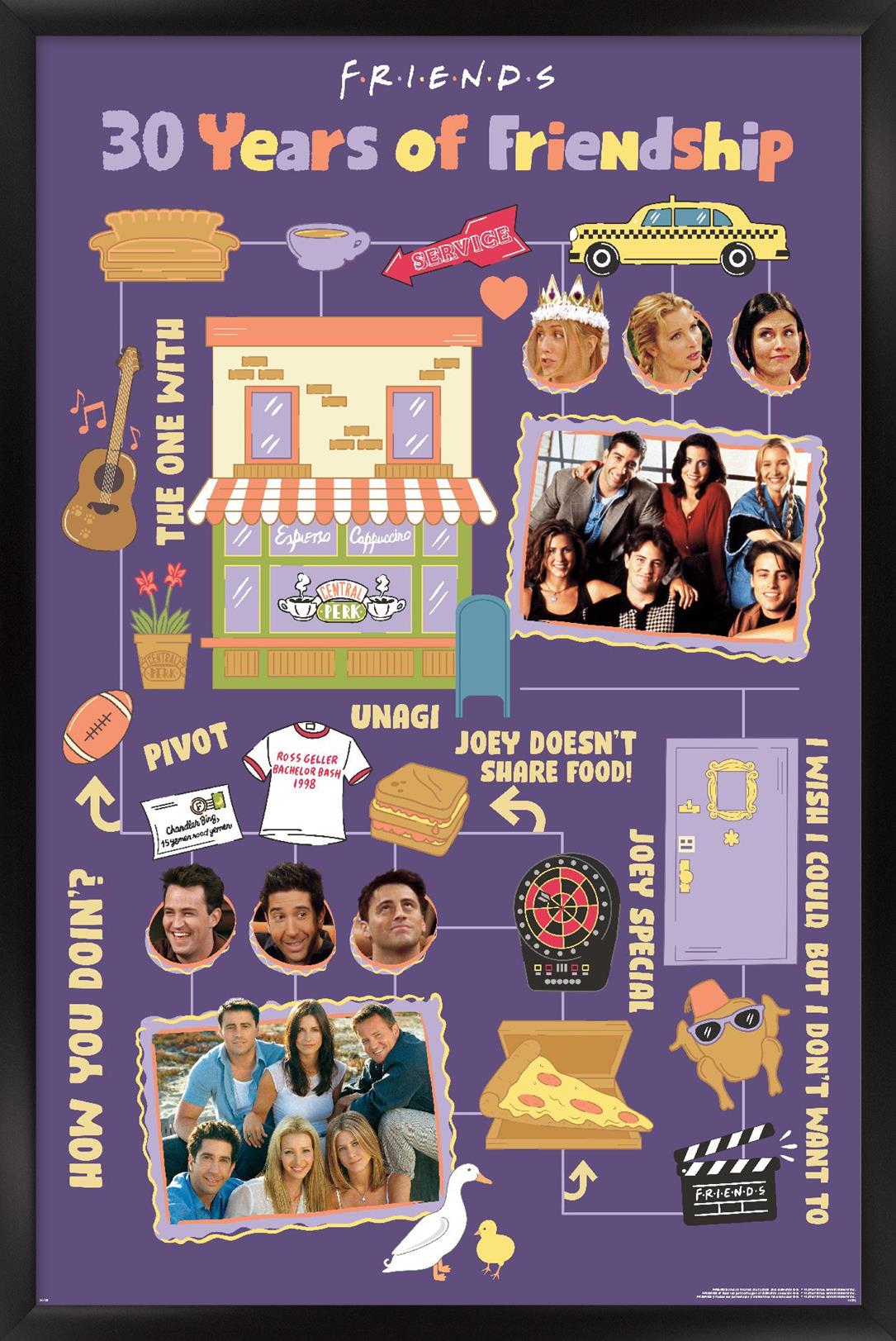 Friends 30th - 30 Years of Friendship Wall Poster, 14.725" x 22.375 ...