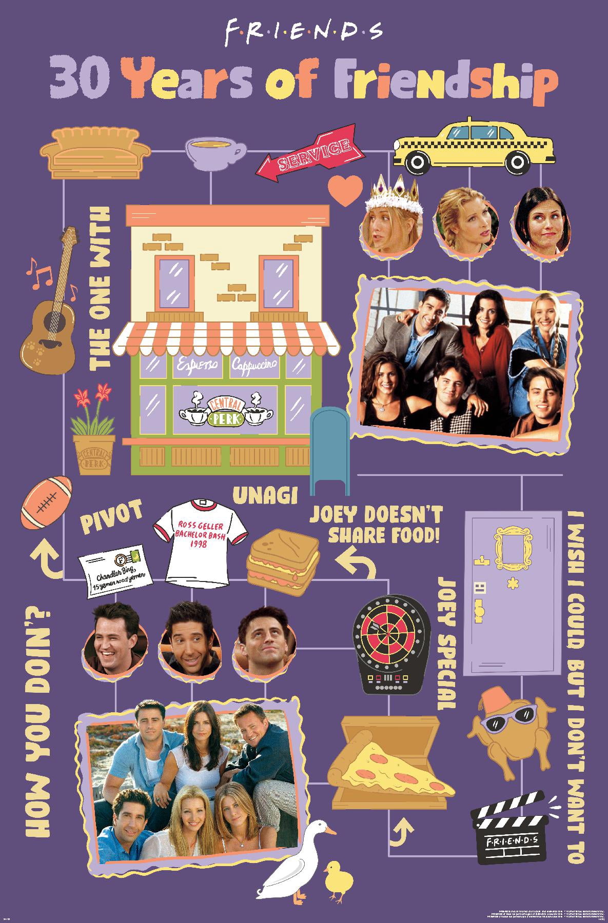 Friends 30th - 30 Years of Friendship Wall Poster, 14.725" x 22.375 ...