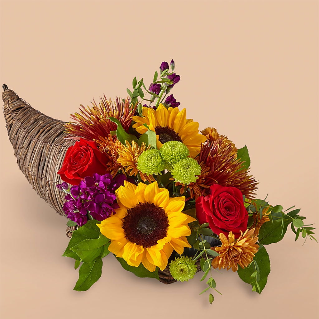 Friendsgiving Cornucopia - Standard - Walmart.com